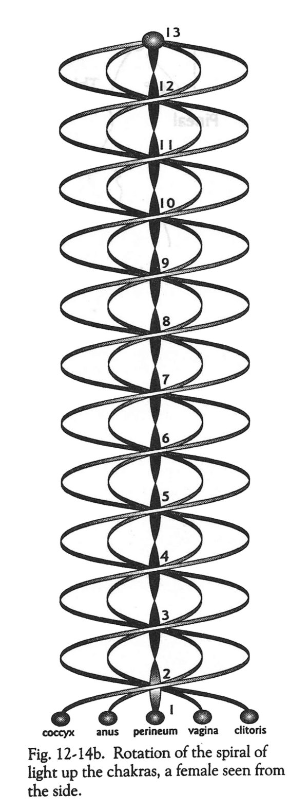 Article 202: Human Spirit - Chakras - Part 3 - Balancing & Further Info ...
