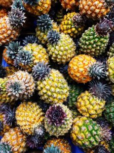 Article 178: Botany - The Geometry of Plants - Part 1 - Fibonacci ...